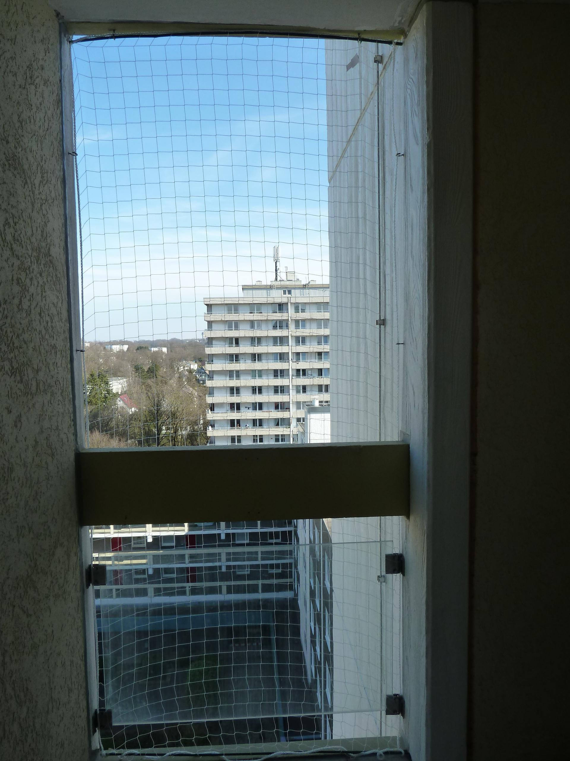 Pigeon Protection Net, by the m² (Custom-Made) | Safetynet365